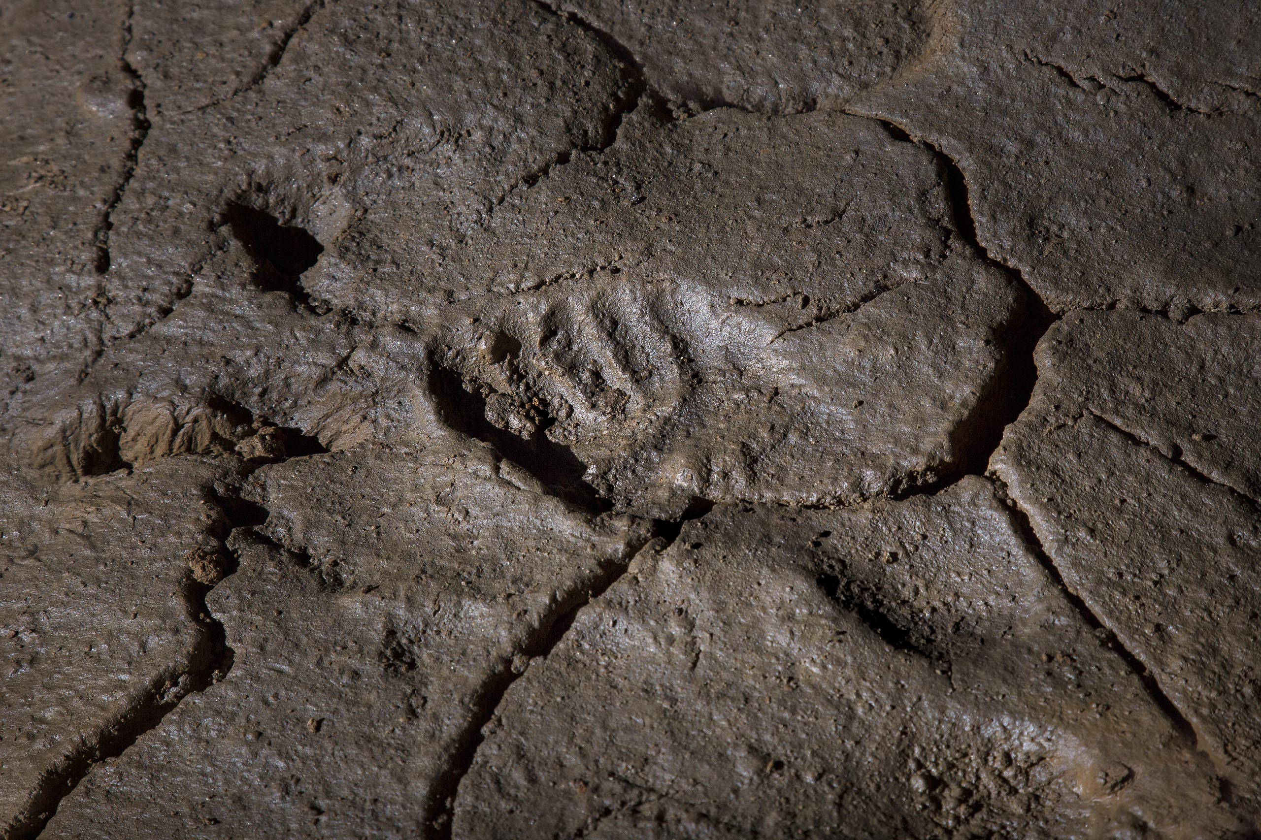 Une trace de pas, un témoignage de notre humanité